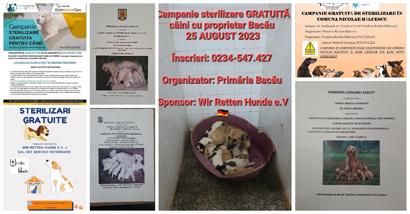 Campanii de sterilizari gratuite in judetul Bacau, in luna august ...